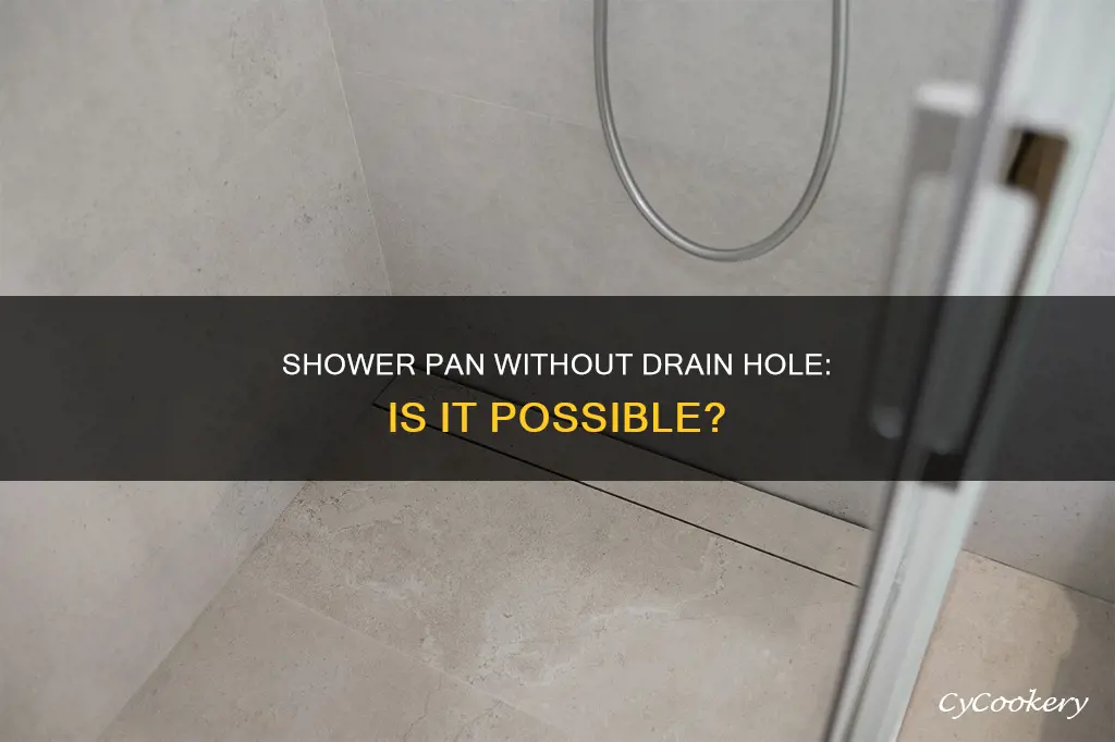 Shower Pan Without Drain Hole: Is It Possible? | CyCookery