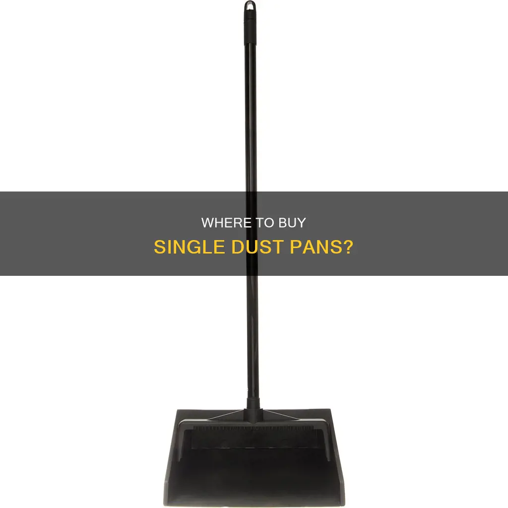 Where To Buy Single Dust Pans? | CyCookery