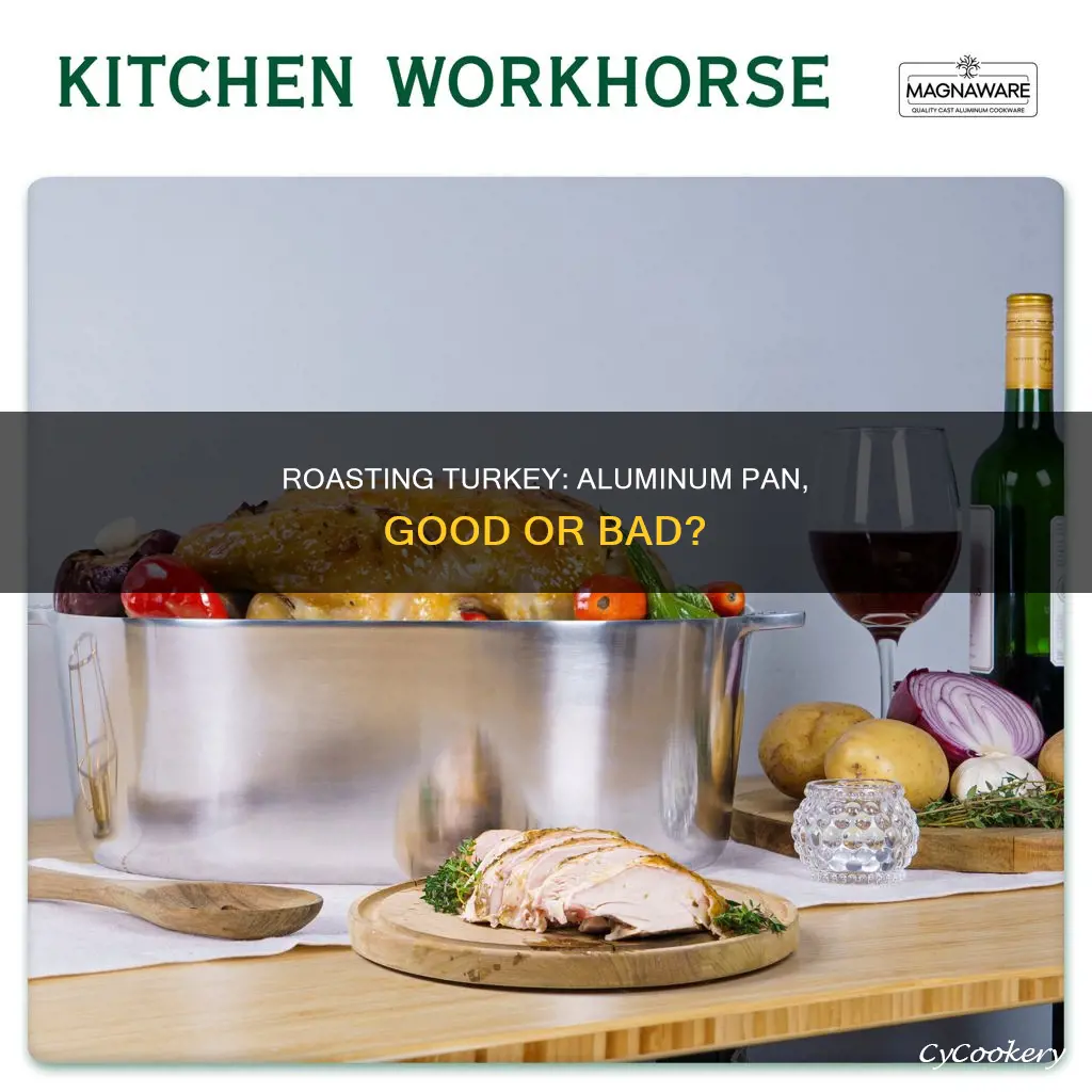 Roasting Turkey: Aluminum Pan, Good Or Bad? | CyCookery