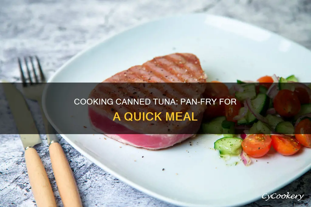 Cooking Canned Tuna: Pan-Fry For A Quick Meal | CyCookery