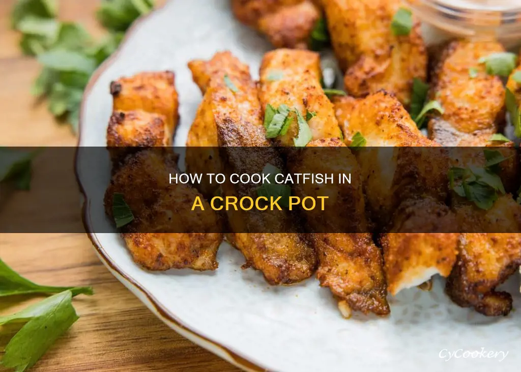 How To Cook Catfish In A Crock Pot | CyCookery