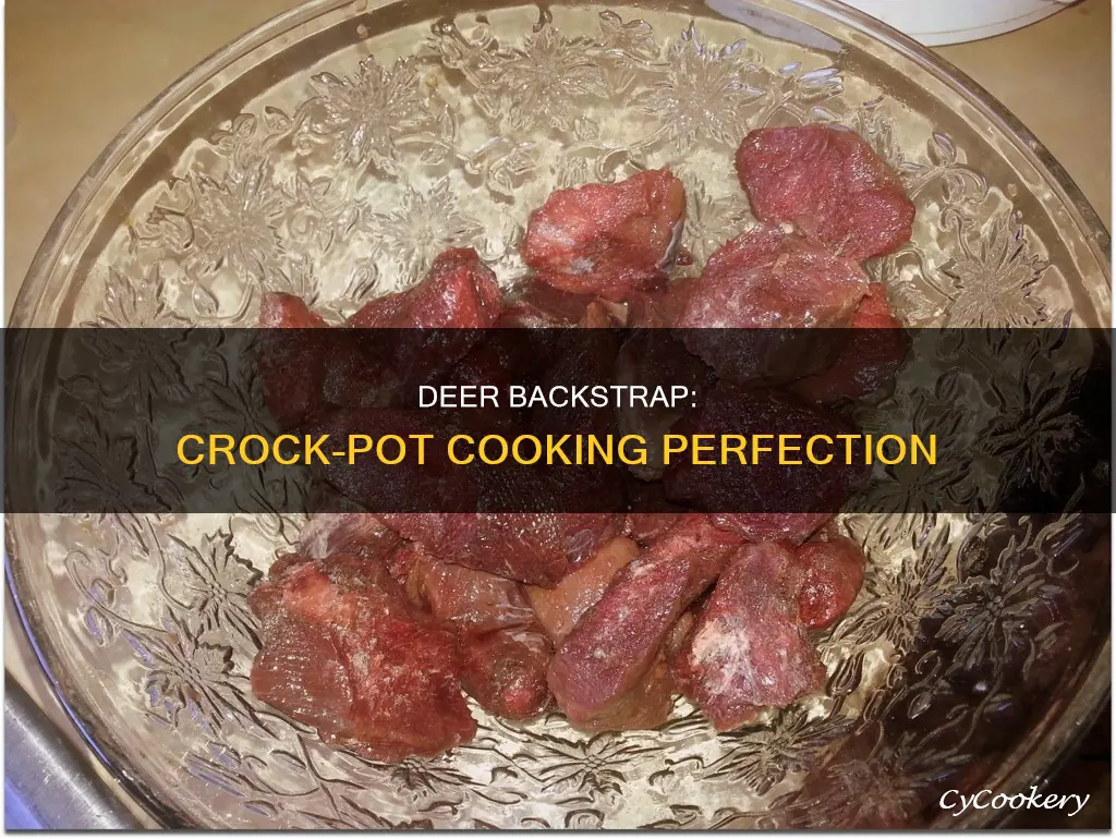 Deer Backstrap: Crock-Pot Cooking Perfection | CyCookery