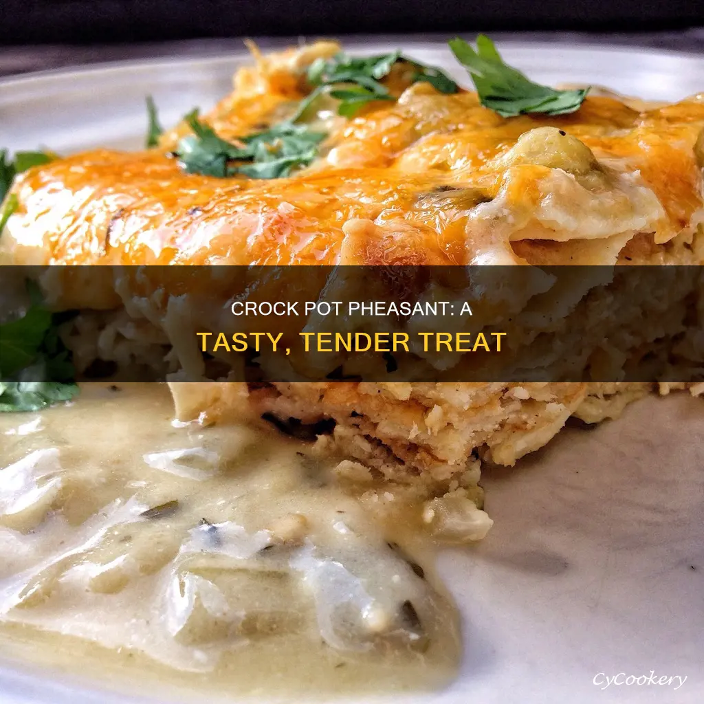 Crock Pot Pheasant: A Tasty, Tender Treat | CyCookery
