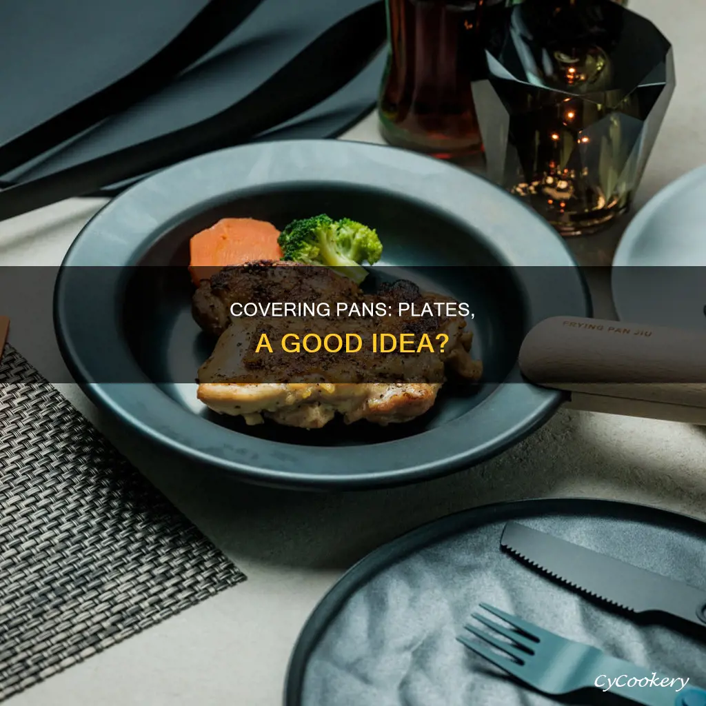 Covering Pans: Plates, A Good Idea? | CyCookery