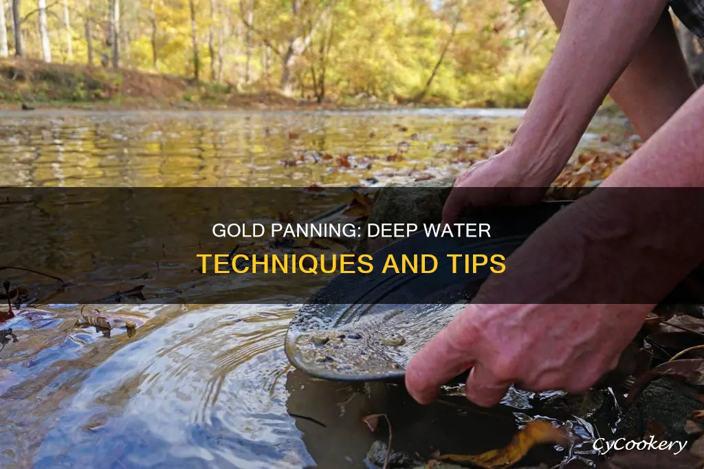 Gold Panning: Deep Water Techniques And Tips | CyCookery