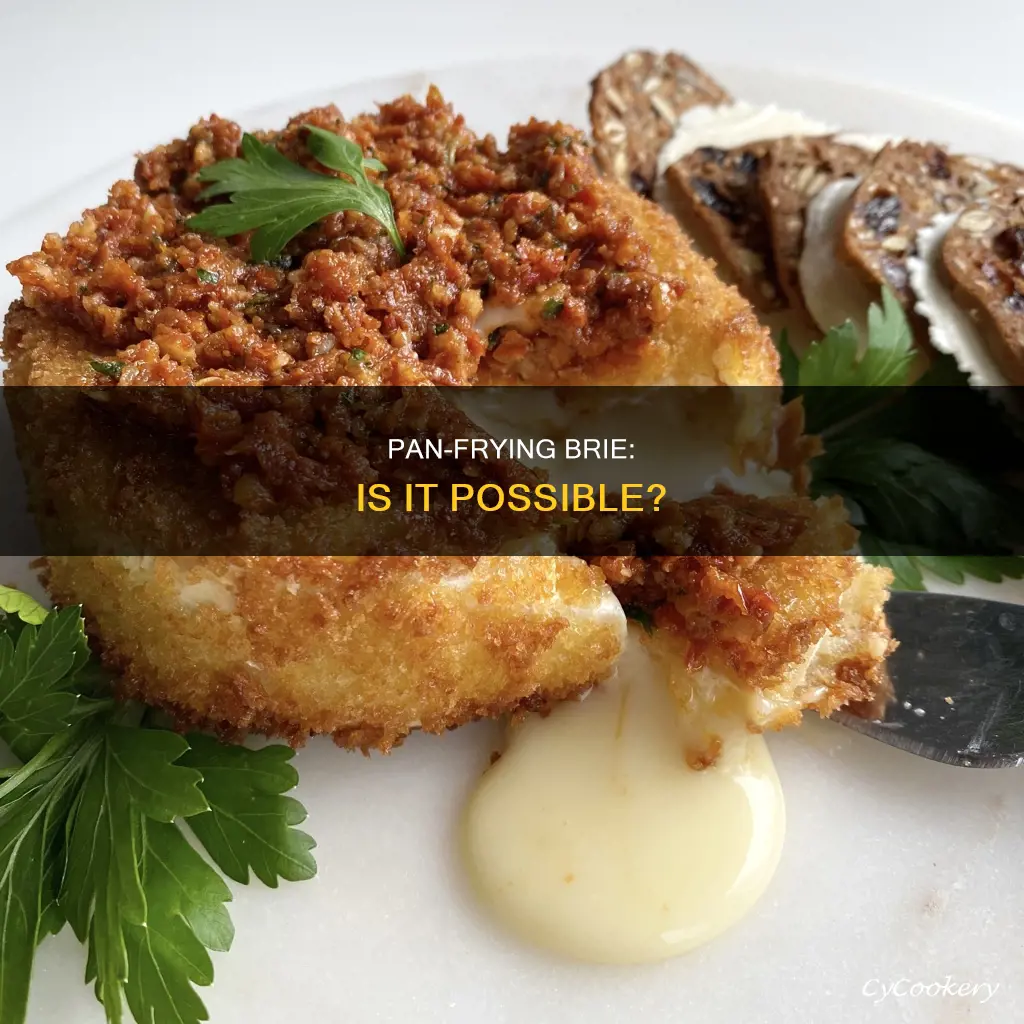 Pan-Frying Brie: Is It Possible? | CyCookery