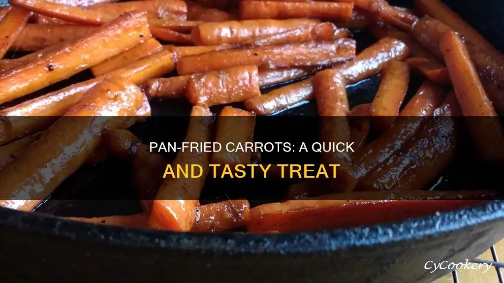Pan-Fried Carrots: A Quick And Tasty Treat | CyCookery