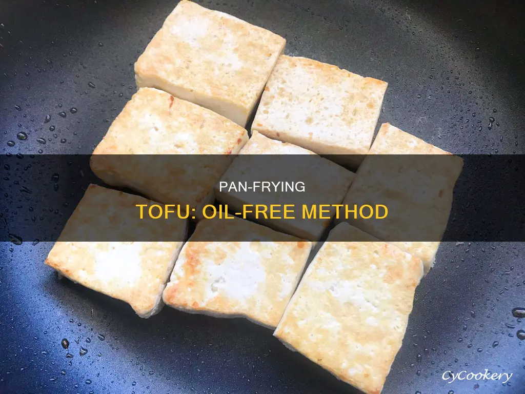 Pan-Frying Tofu: Oil-Free Method | CyCookery