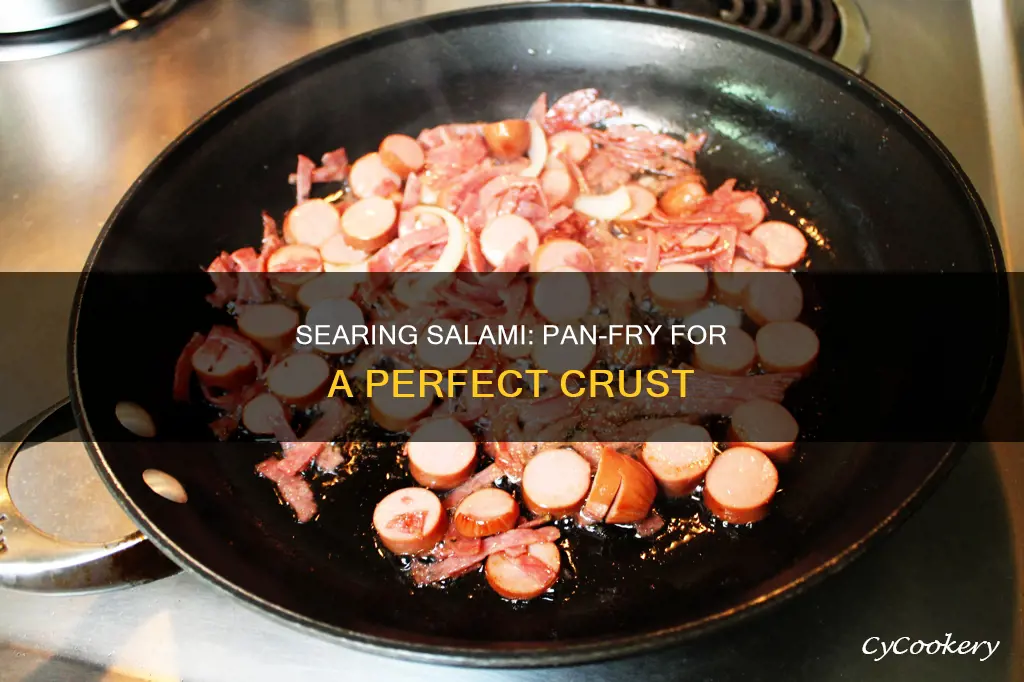 Searing Salami: Pan-Fry For A Perfect Crust | CyCookery