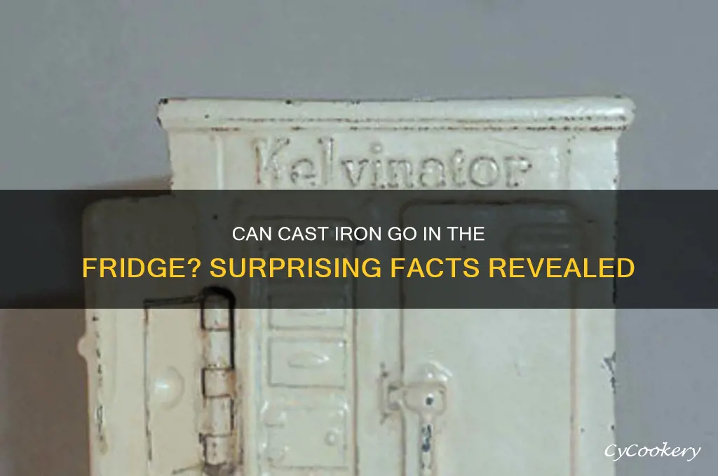 Can Cast Iron Go In The Fridge? Surprising Facts Revealed | CyCookery