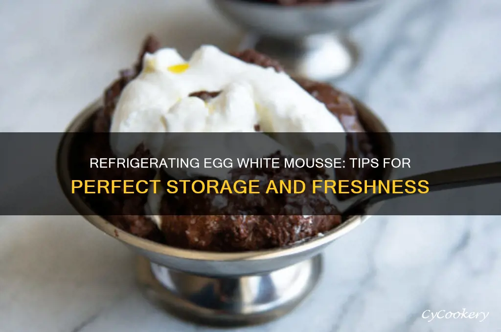 Refrigerating Egg White Mousse: Tips For Perfect Storage And Freshness ...
