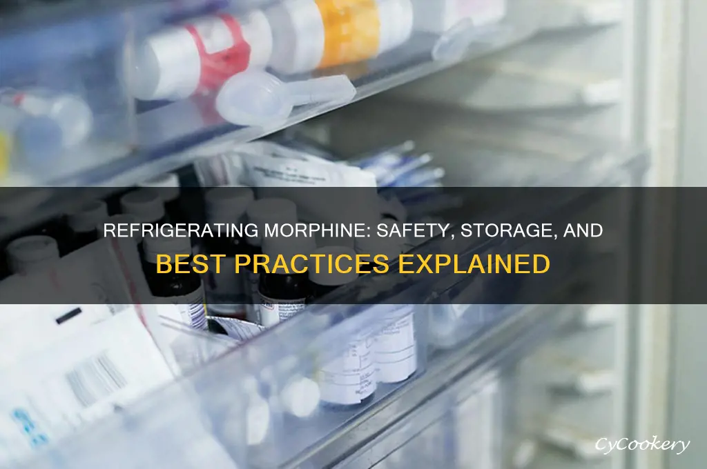 Refrigerating Morphine: Safety, Storage, And Best Practices Explained ...