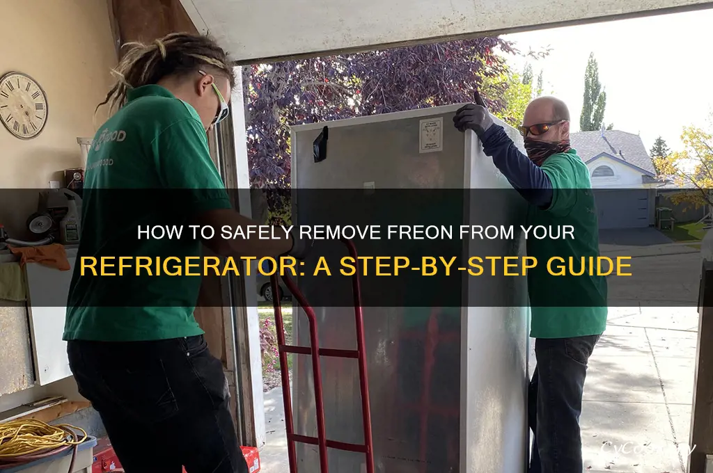 How To Safely Remove Freon From Your Refrigerator: A Step-By-Step Guide ...