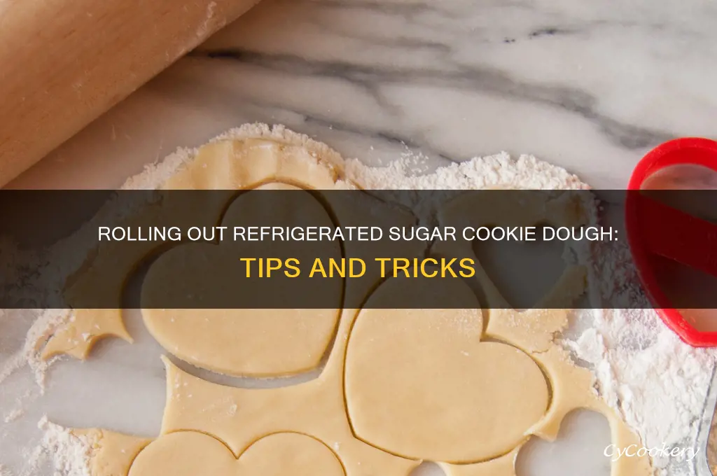 Rolling Out Refrigerated Sugar Cookie Dough: Tips And Tricks | CyCookery