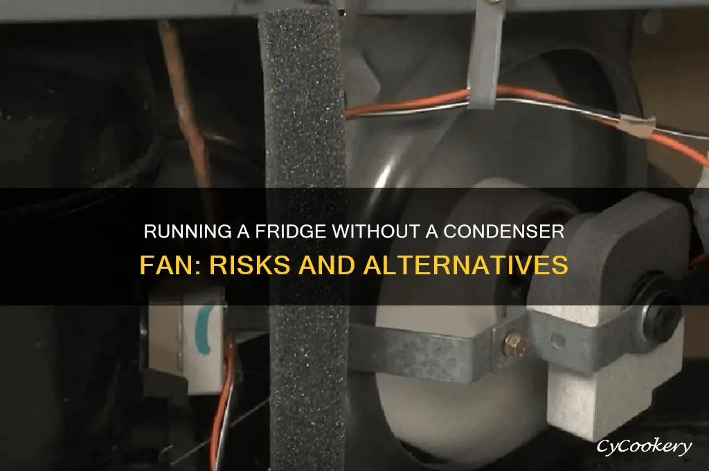 Running A Fridge Without A Condenser Fan: Risks And Alternatives ...