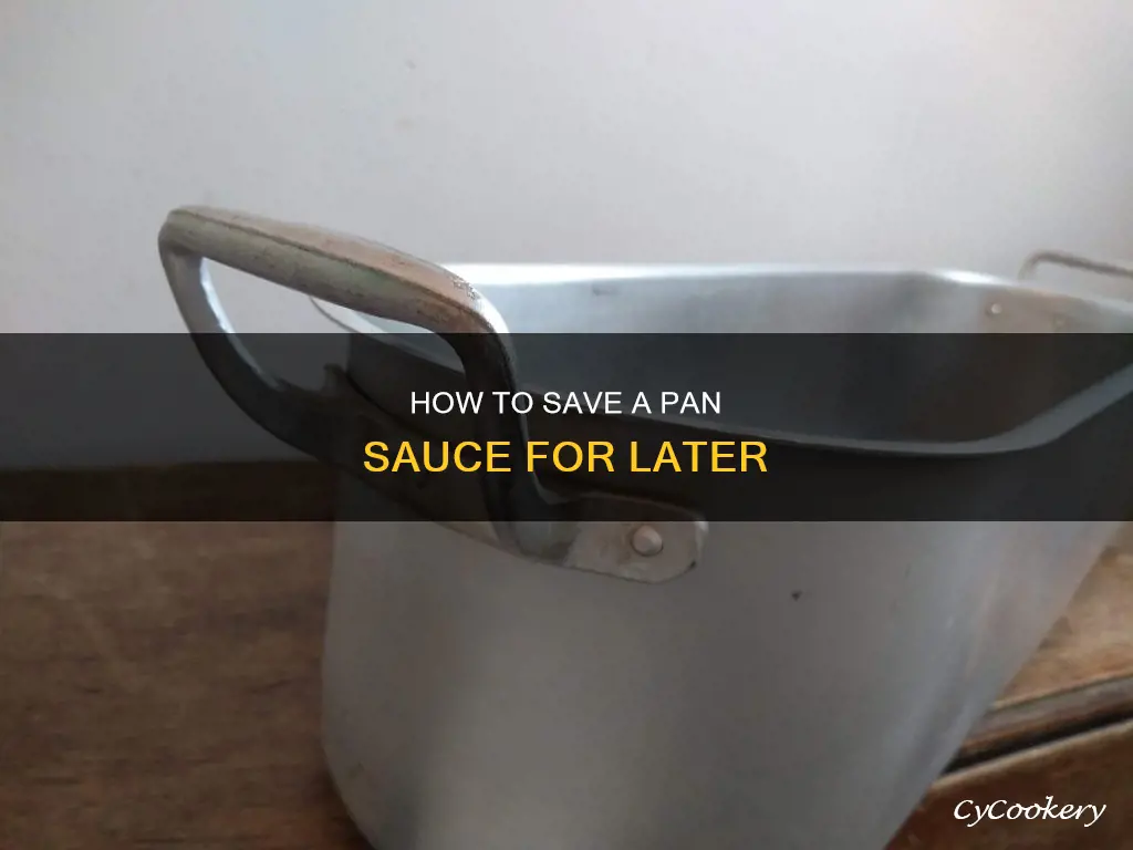 How To Save A Pan Sauce For Later | CyCookery
