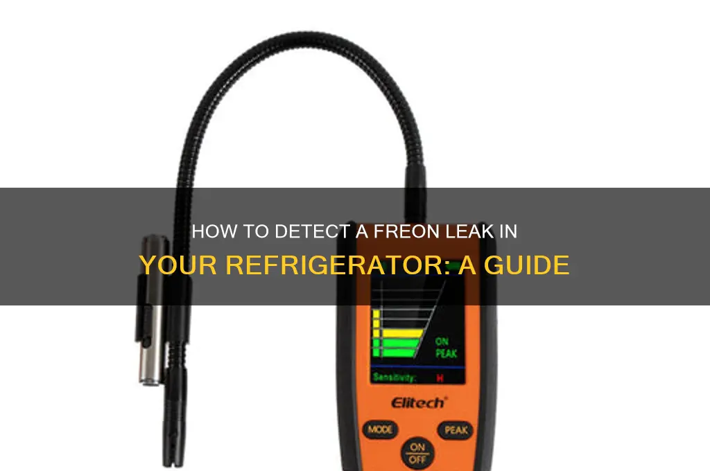 How To Detect A Freon Leak In Your Refrigerator: A Guide | CyCookery