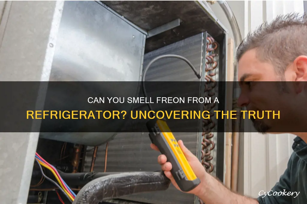 Can You Smell Freon From A Refrigerator? Uncovering The Truth | CyCookery