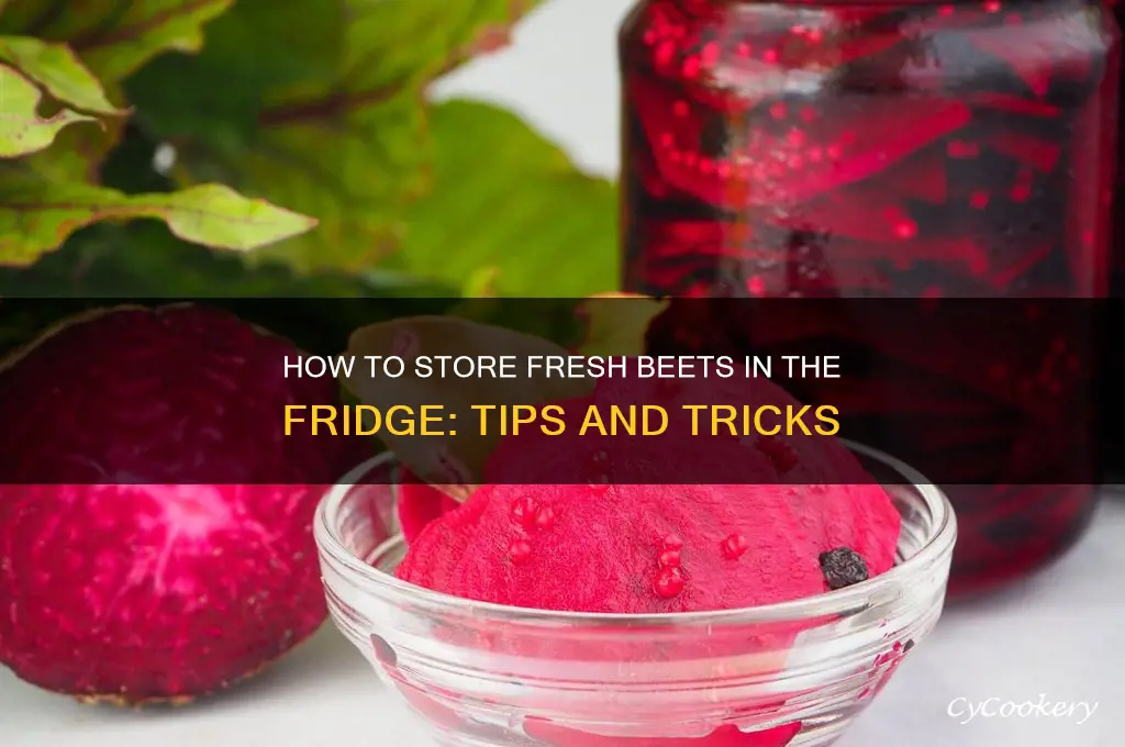 How To Store Fresh Beets In The Fridge: Tips And Tricks | CyCookery