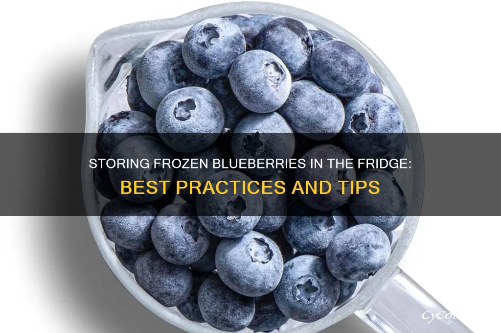 Storing Frozen Blueberries In The Fridge: Best Practices And Tips ...