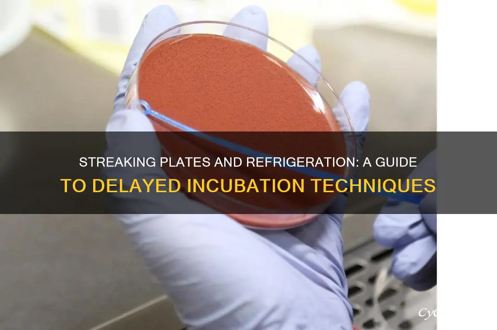 Streaking Plates And Refrigeration: A Guide To Delayed Incubation ...