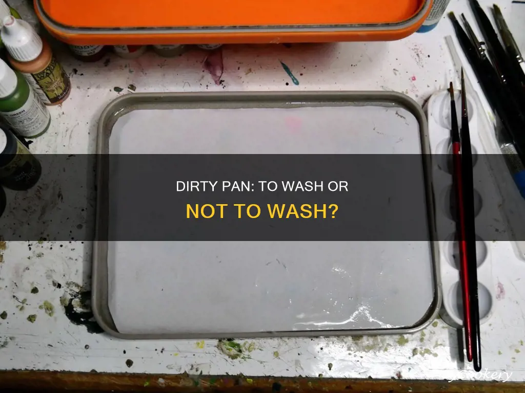 Dirty Pan: To Wash Or Not To Wash? | CyCookery