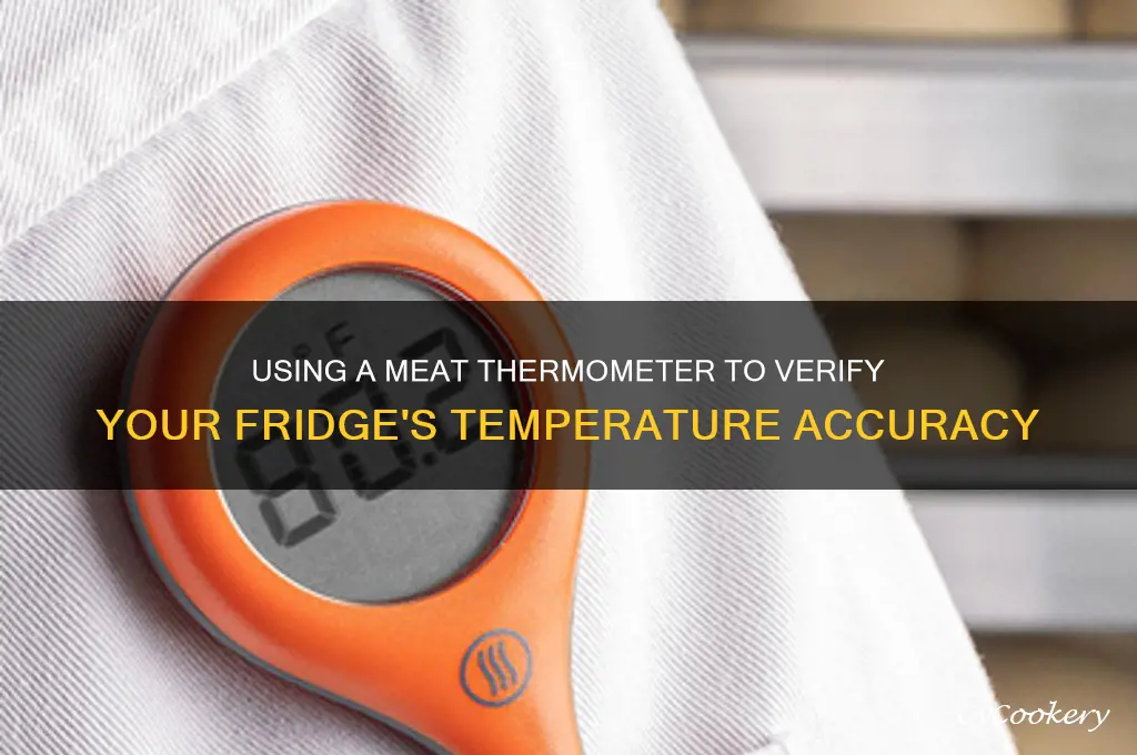 Using A Meat Thermometer To Verify Your Fridge's Temperature Accuracy ...