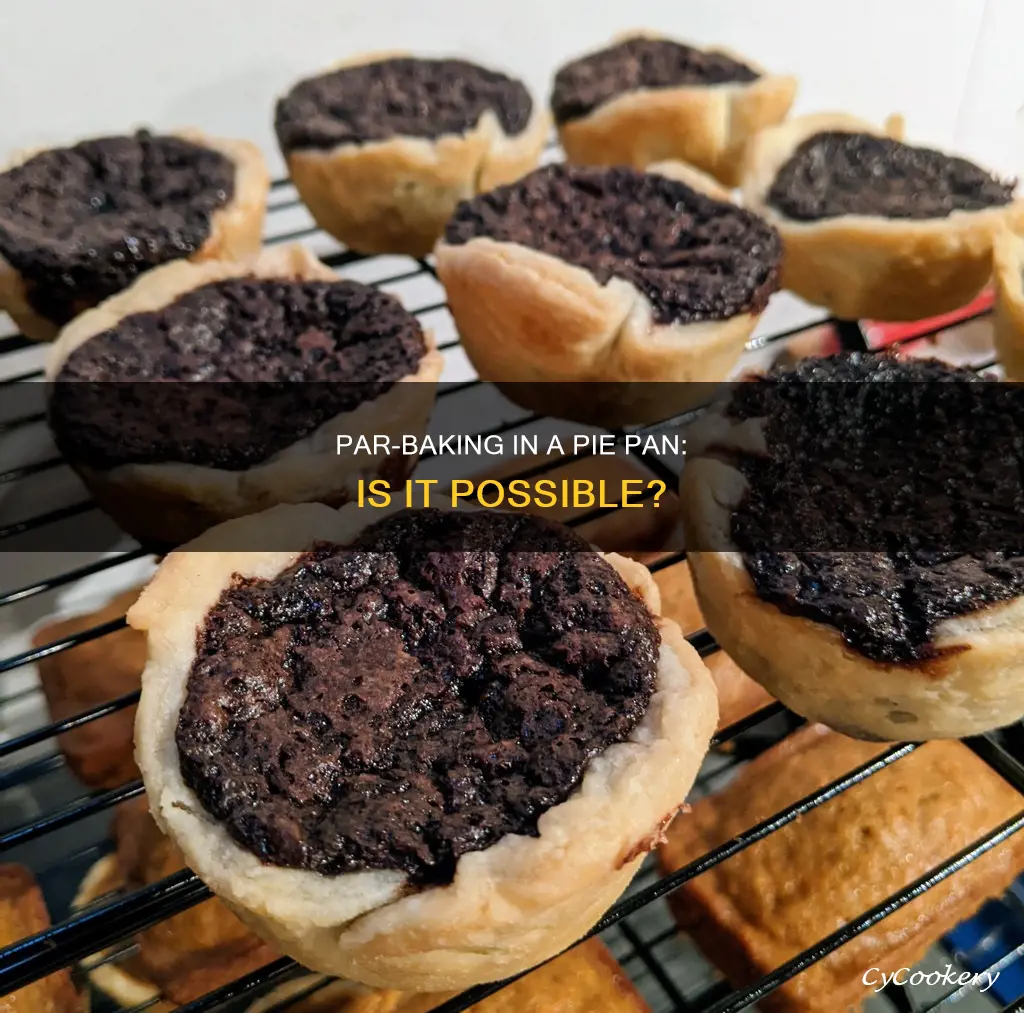 Par-Baking In A Pie Pan: Is It Possible? | CyCookery