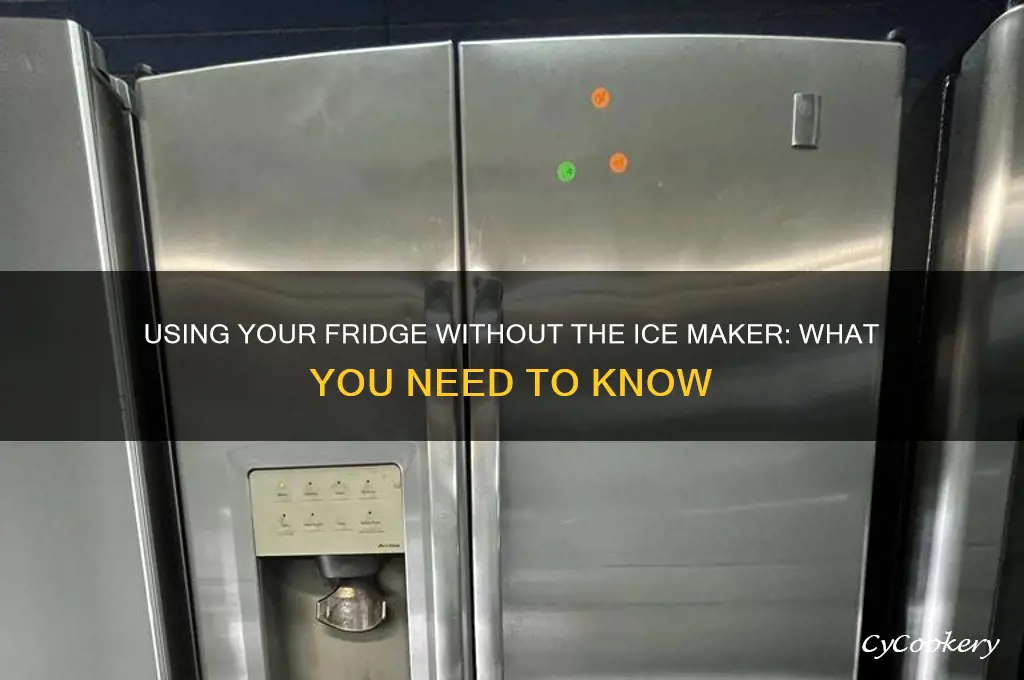 Using Your Fridge Without The Ice Maker: What You Need To Know | CyCookery