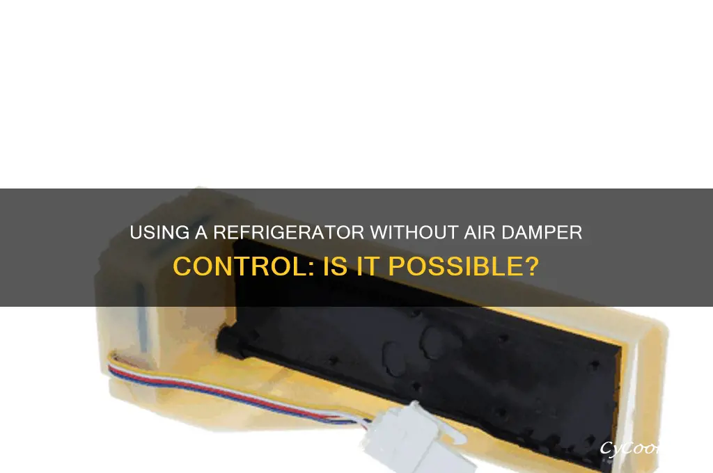 Using A Refrigerator Without Air Damper Control: Is It Possible ...