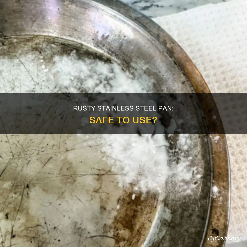 Rusty Stainless Steel Pan: Safe To Use? | CyCookery