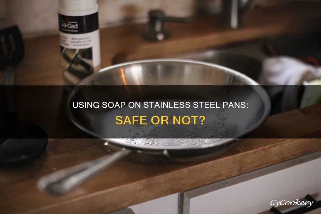 Using Soap On Stainless Steel Pans: Safe Or Not? | CyCookery