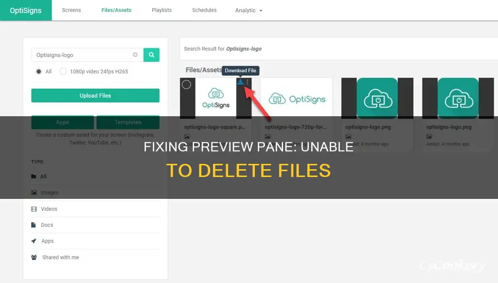 Fixing Preview Pane: Unable To Delete Files | CyCookery