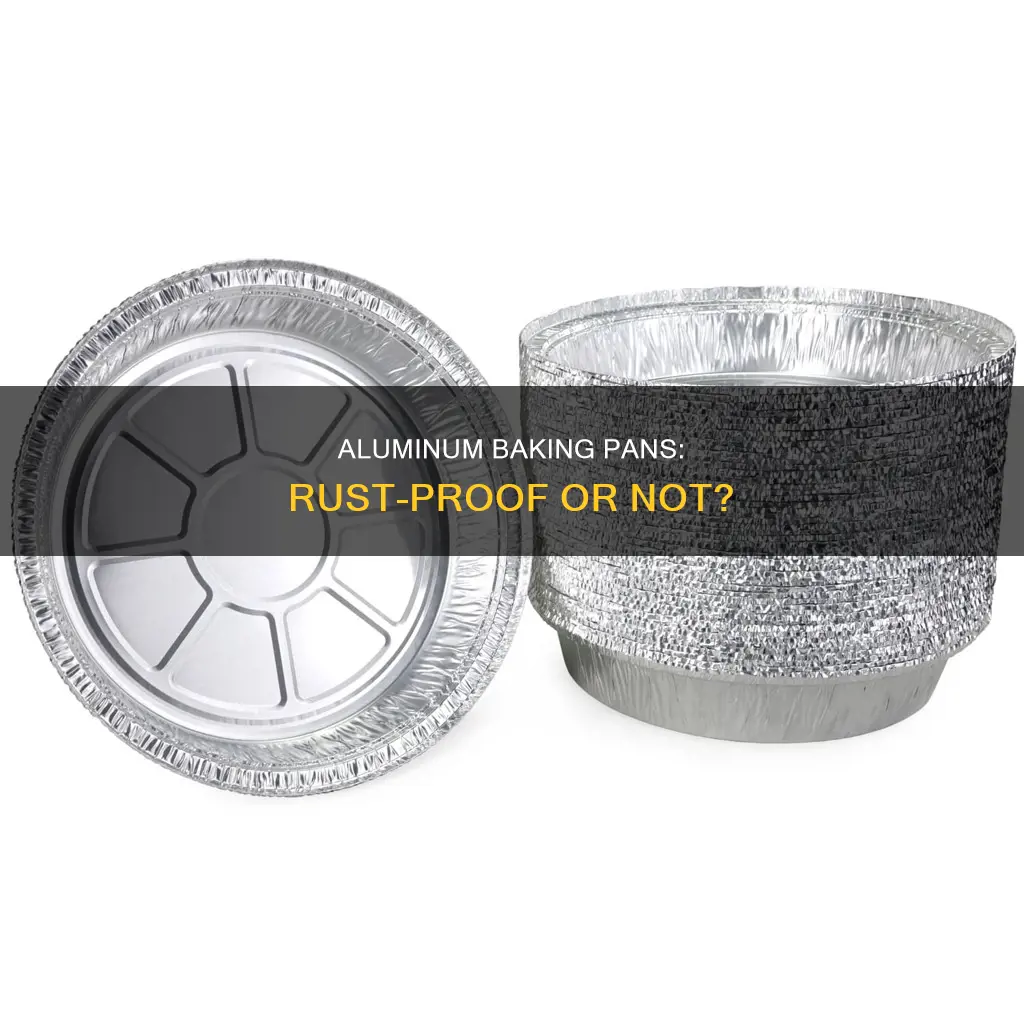 Aluminum Baking Pans: Rust-Proof Or Not? | CyCookery