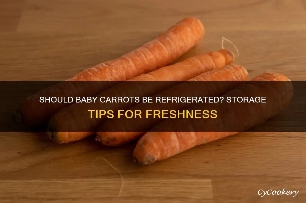Should Baby Carrots Be Refrigerated? Storage Tips For Freshness | CyCookery