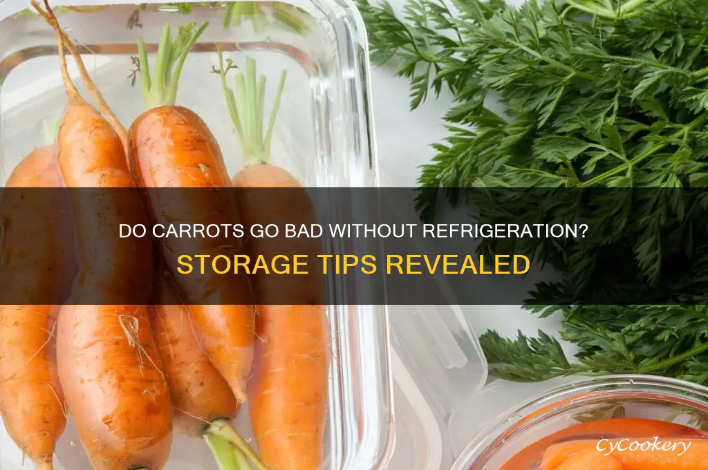 Do Carrots Go Bad Without Refrigeration? Storage Tips Revealed | CyCookery