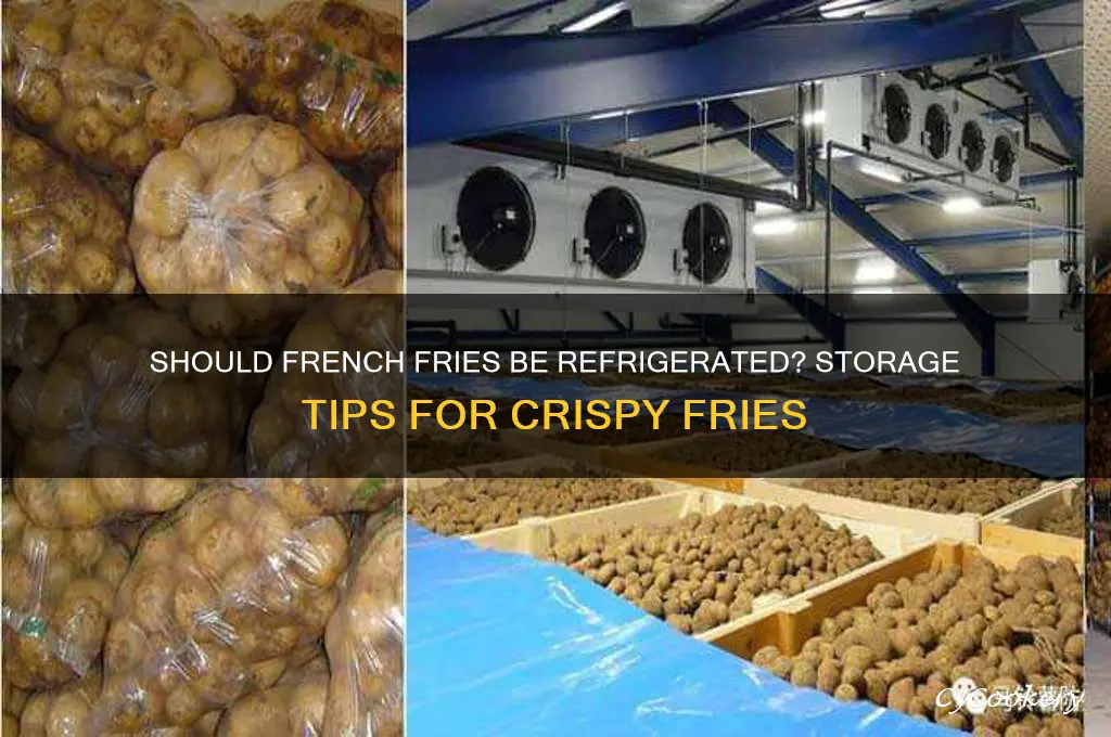 Should French Fries Be Refrigerated? Storage Tips For Crispy Fries ...