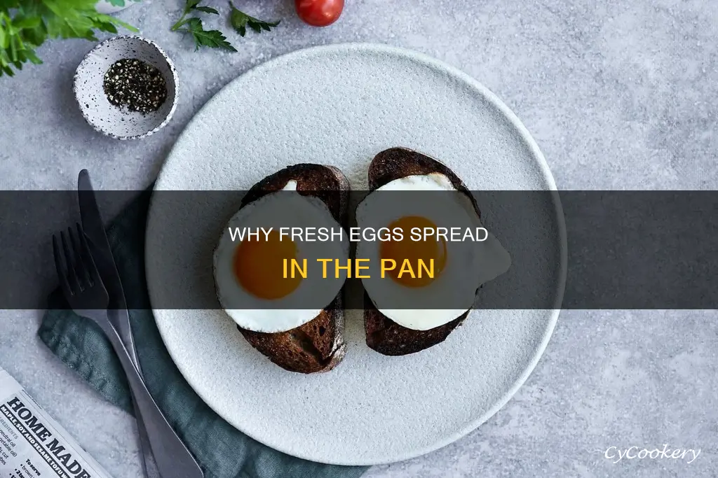 Why Fresh Eggs Spread In The Pan | CyCookery