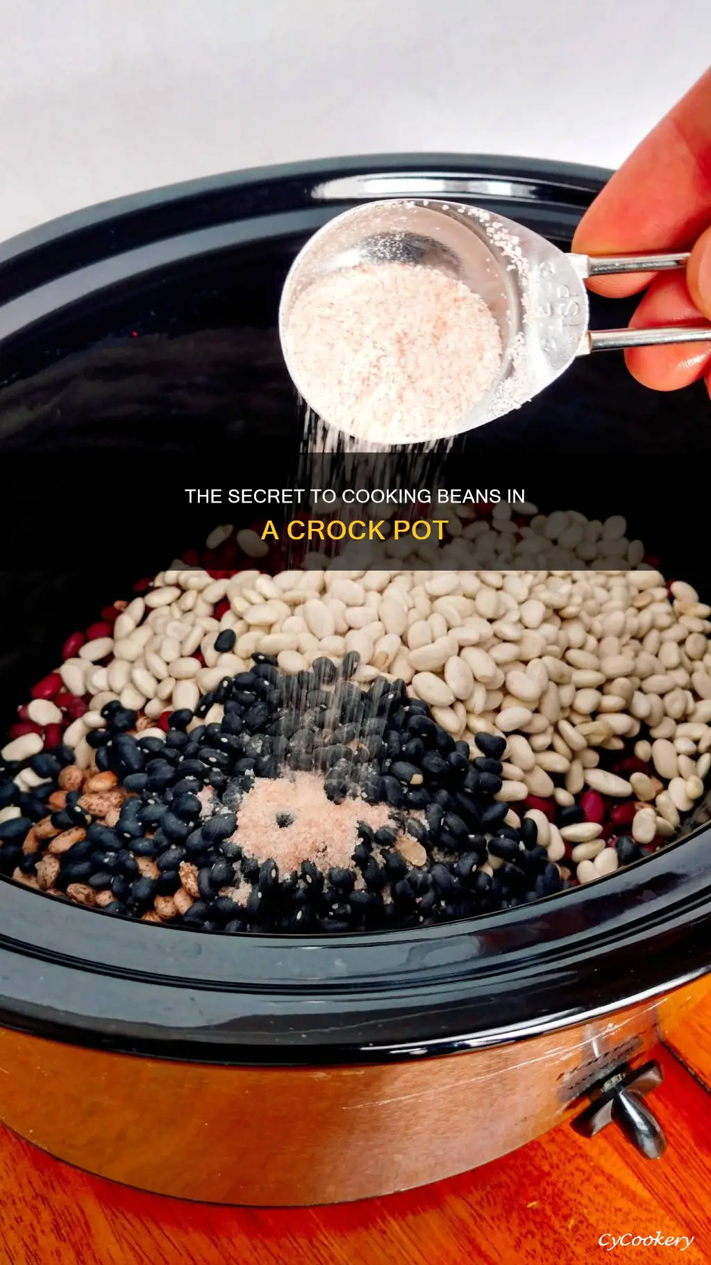 The Secret To Cooking Beans In A Crock Pot | CyCookery