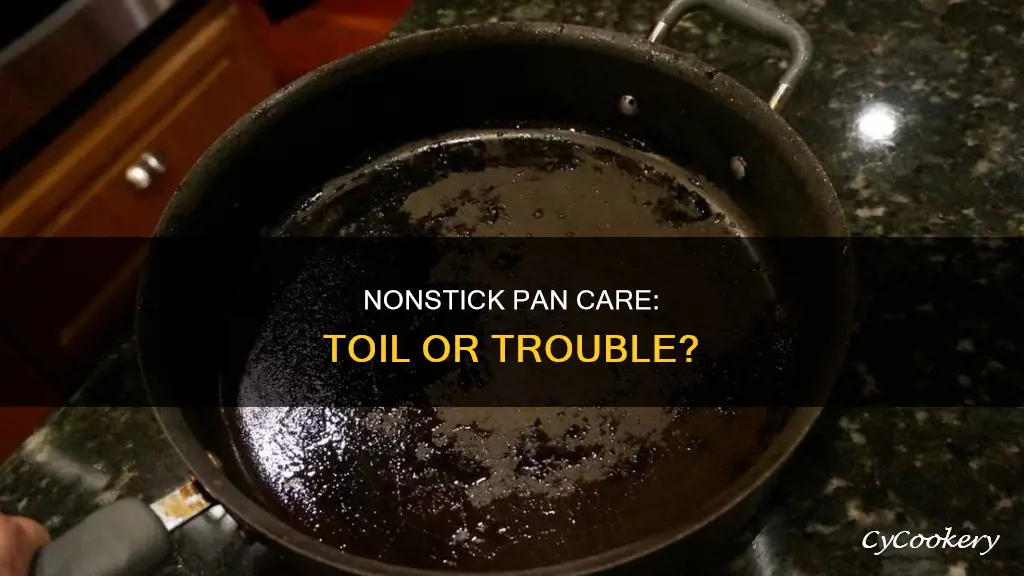 Nonstick Pan Care: Toil Or Trouble? | CyCookery