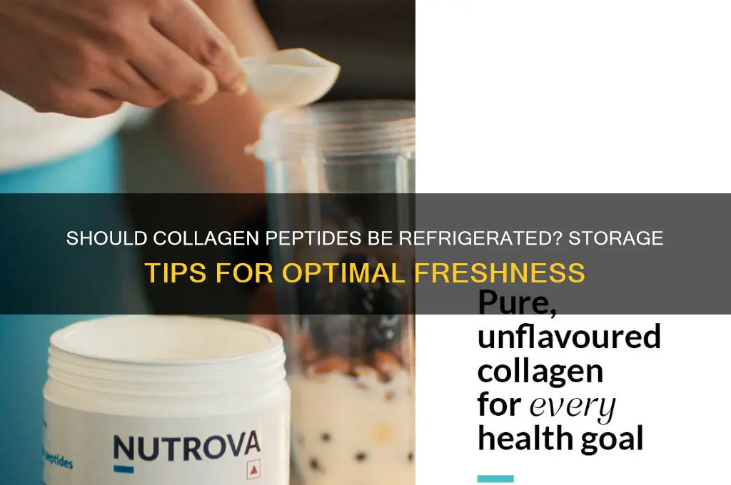 Should Collagen Peptides Be Refrigerated? Storage Tips For Optimal ...