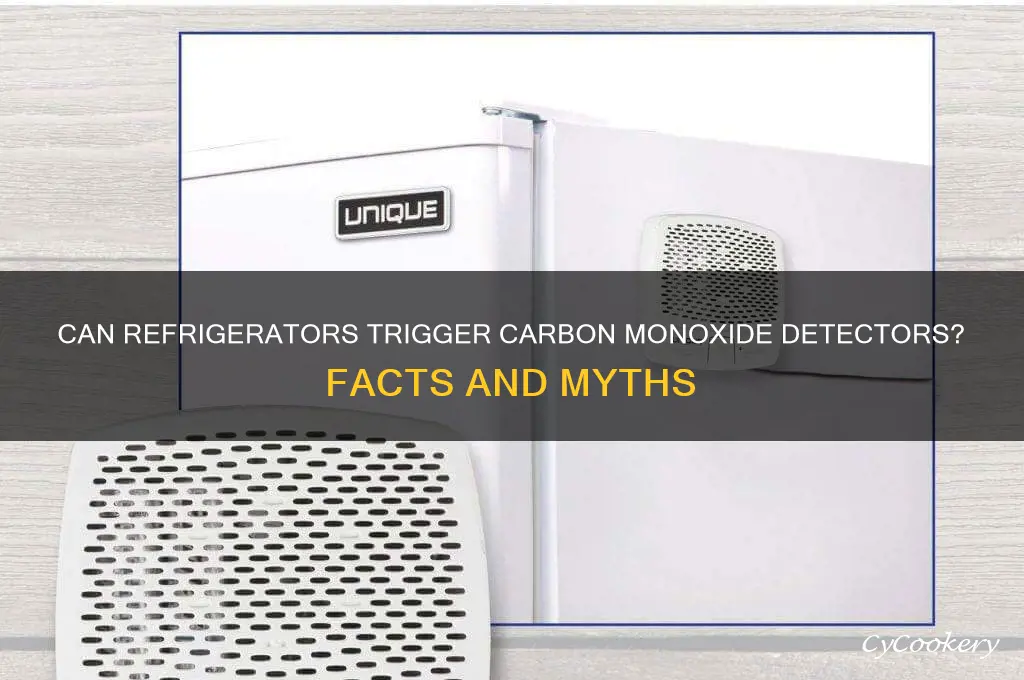 Can Refrigerators Trigger Carbon Monoxide Detectors? Facts And Myths ...