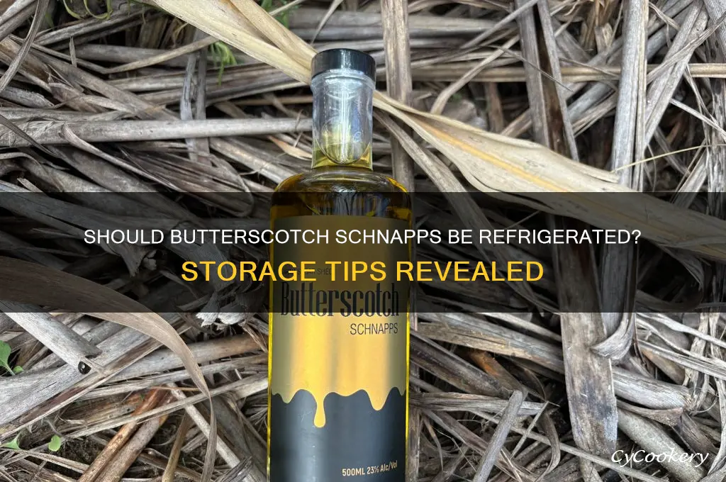 Should Butterscotch Schnapps Be Refrigerated? Storage Tips Revealed ...