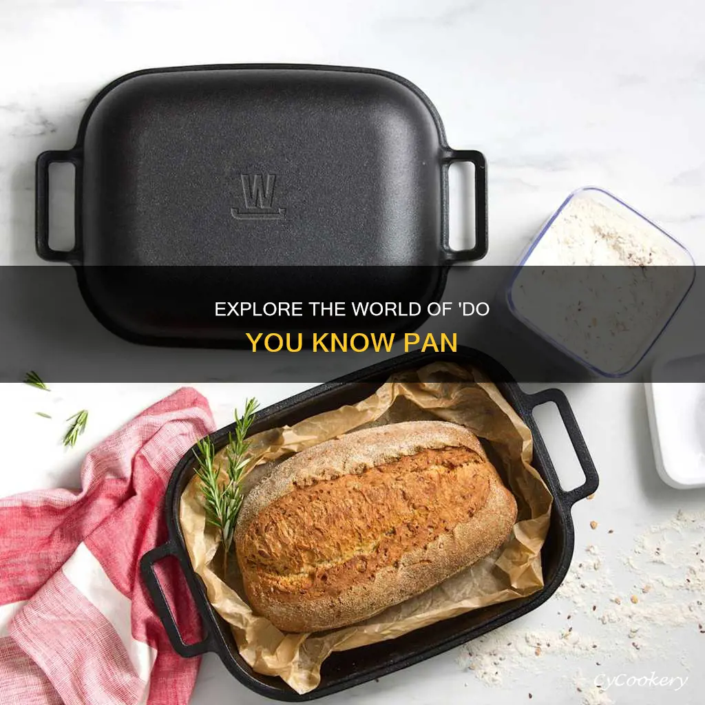 Explore The World Of 'Do You Know Pan | CyCookery
