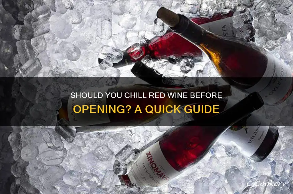 Should You Chill Red Wine Before Opening? A Quick Guide | CyCookery