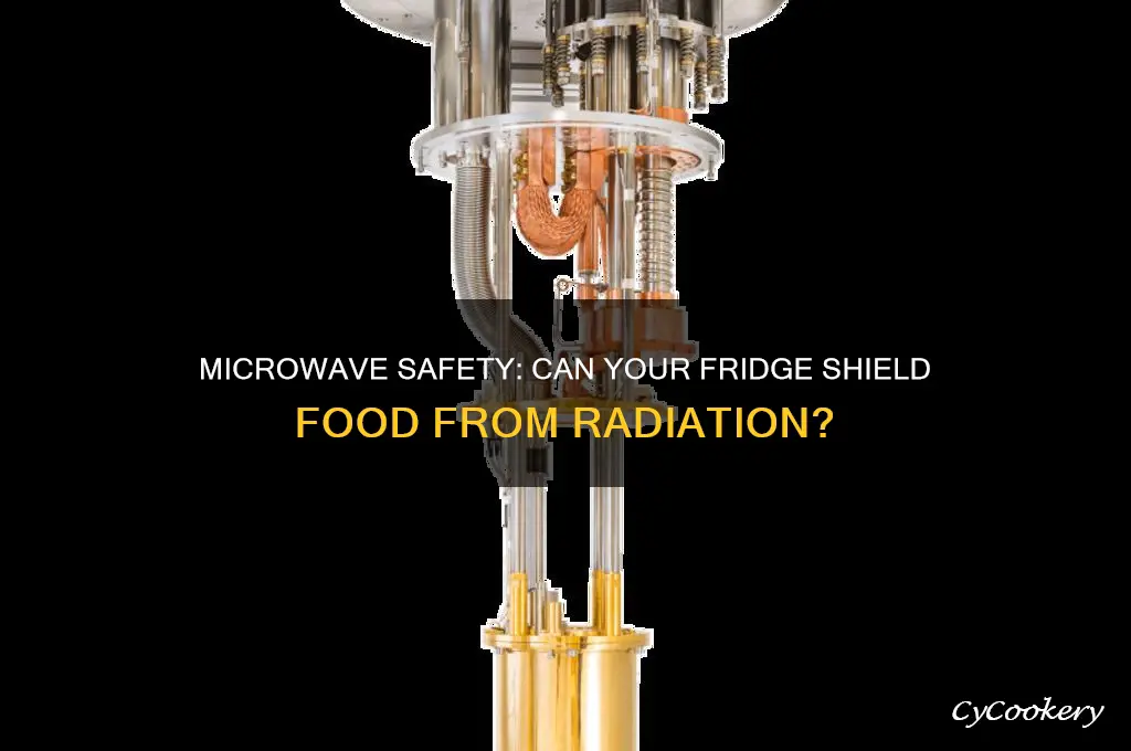 Microwave Safety: Can Your Fridge Shield Food From Radiation? | CyCookery