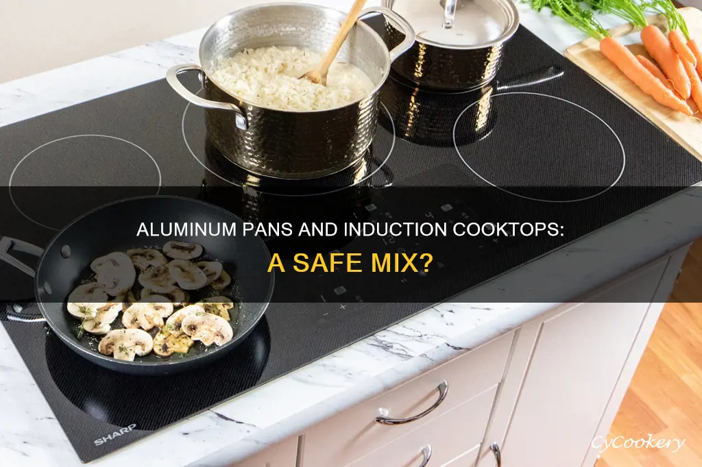 Aluminum Pans And Induction Cooktops: A Safe Mix? | CyCookery