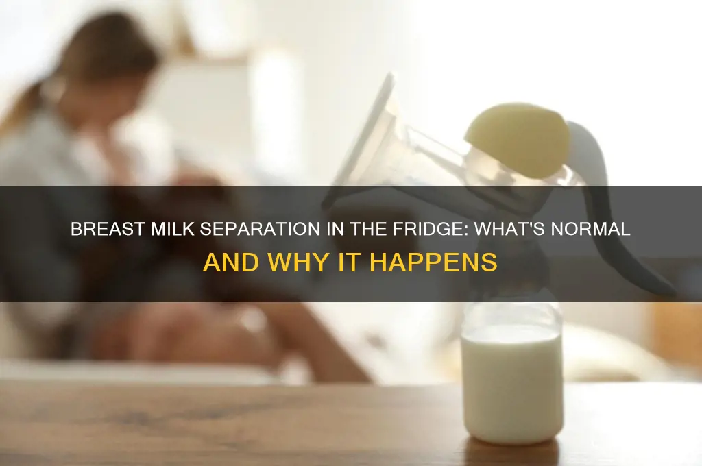 Breast Milk Separation In The Fridge: What's Normal And Why It Happens ...