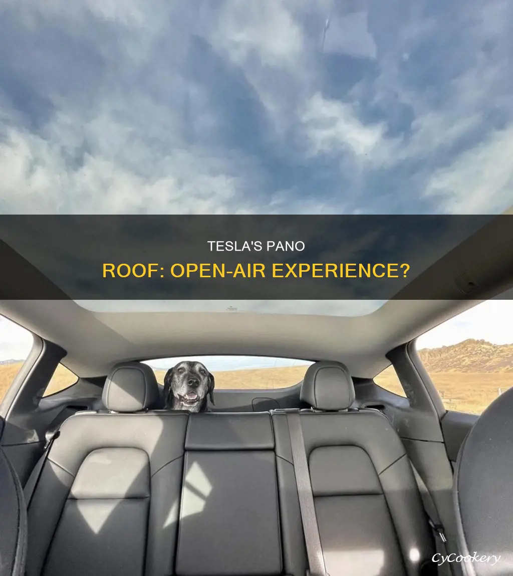 Tesla's Pano Roof: Open-Air Experience? | CyCookery