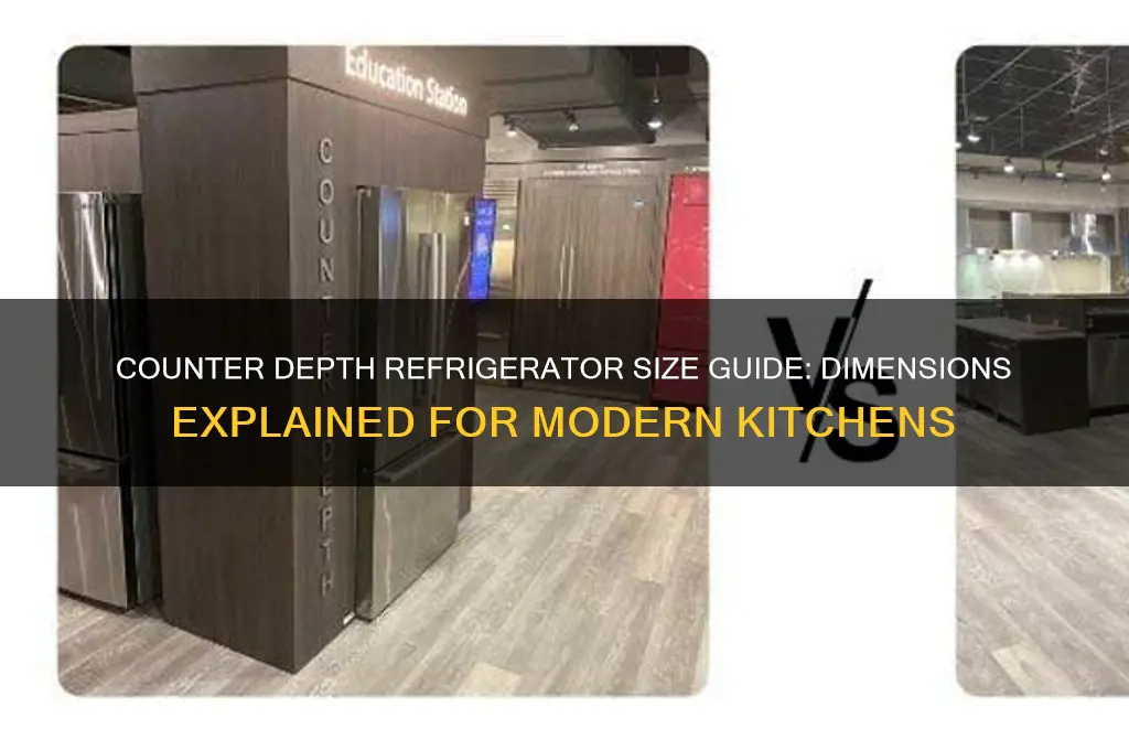 Counter Depth Refrigerator Size Guide: Dimensions Explained For Modern ...